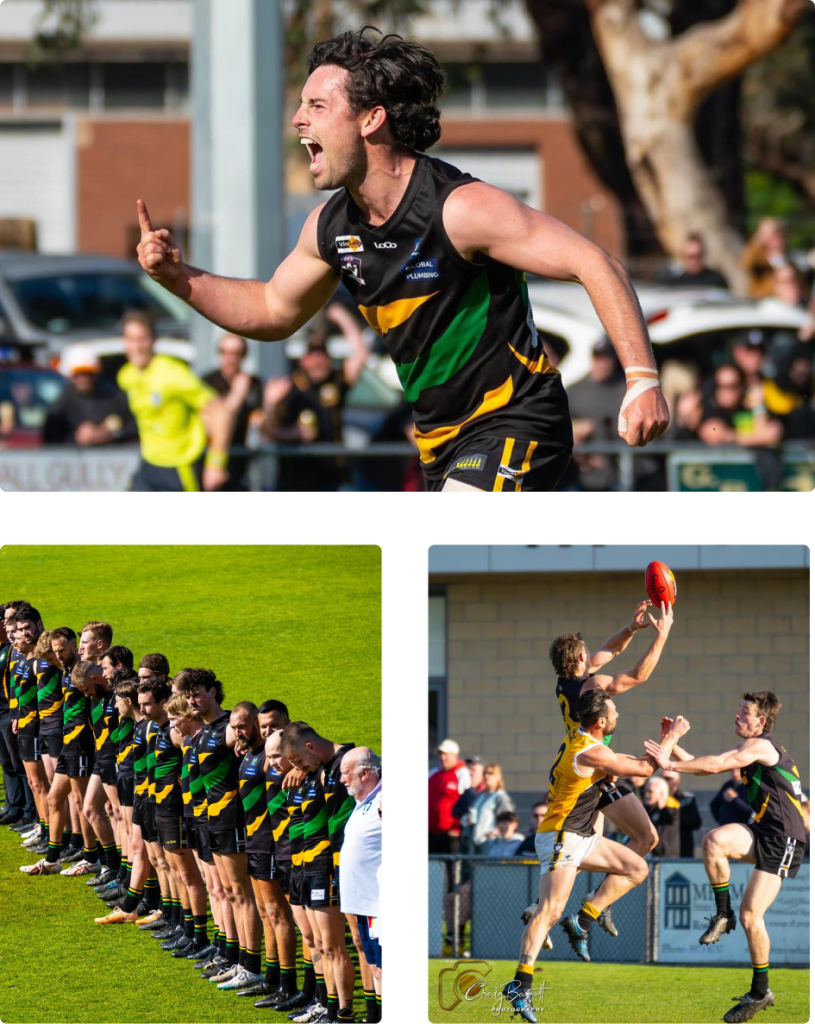 Dromana Football Club | Dromana Football & Netball Club