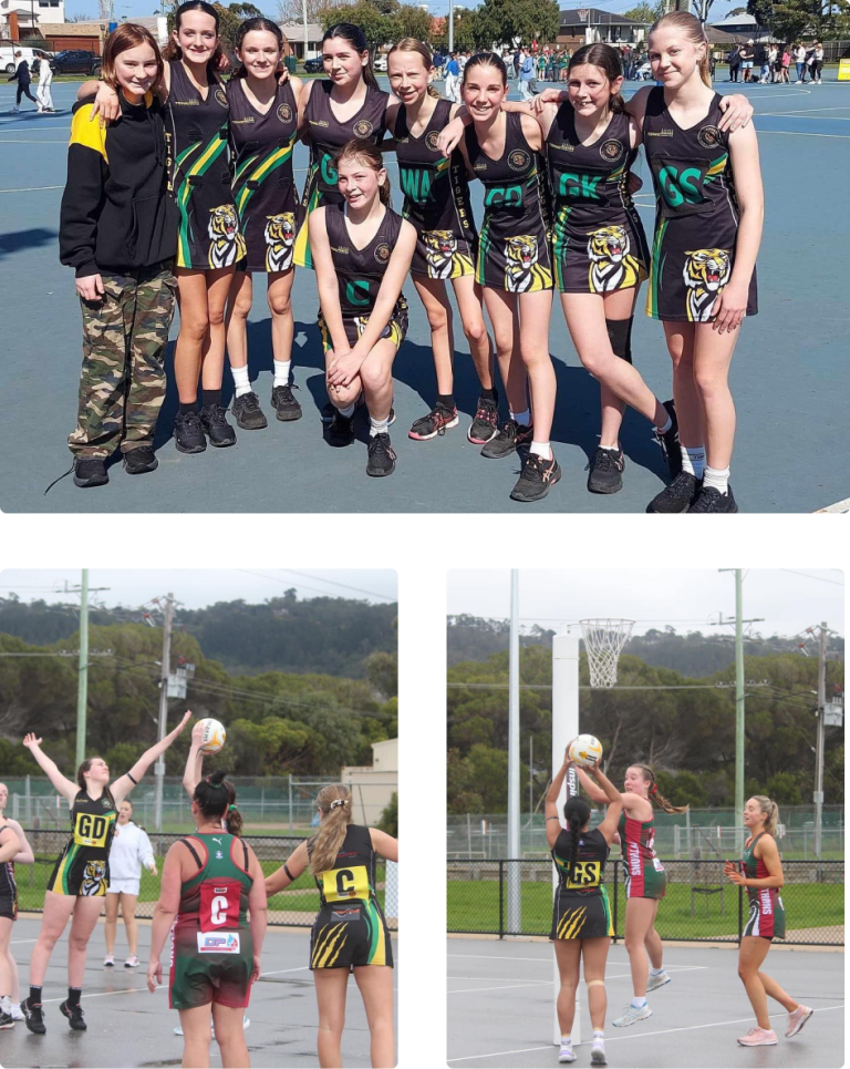 Dromana Netball Club | Dromana Football & Netball Club