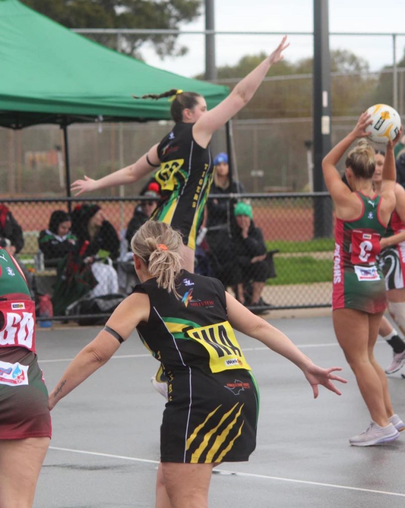 Dromana Netball Club | Dromana Football & Netball Club